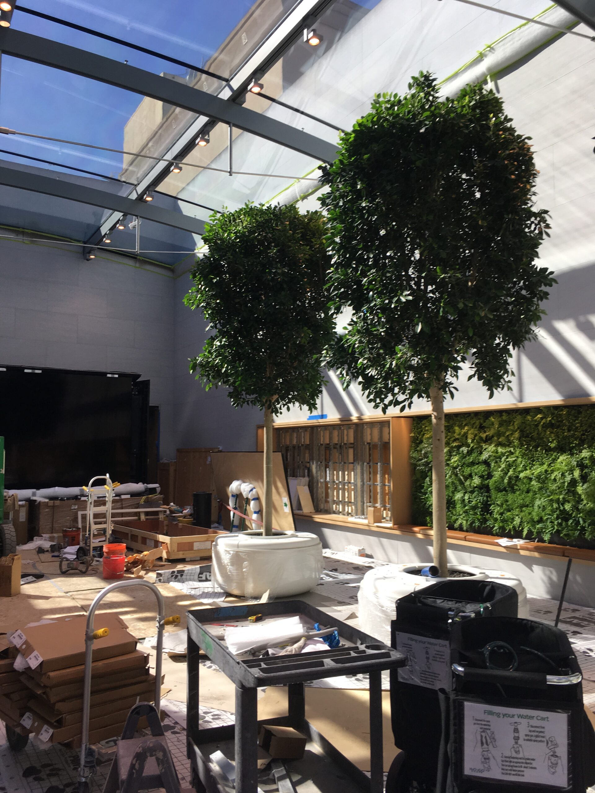 Interiorscape Design and Installation - Plants Unlimited, Inc.