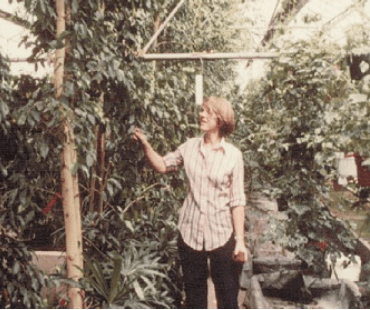 Nancy - Plants Unlimited, Inc.